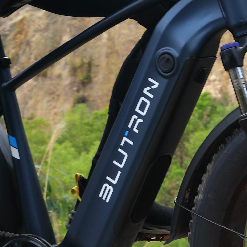 Blutron EB880 Fat Tire Ebike
