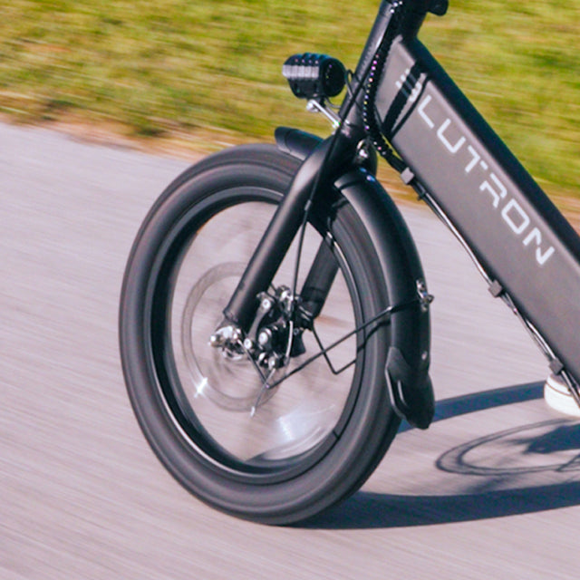 Blutron EB350F Foldable Ebike